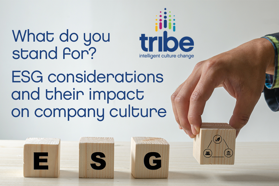 ESG Considerations and Impact on Company Culture