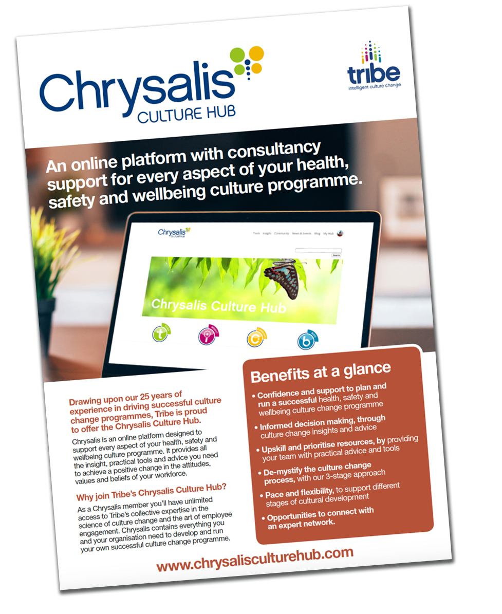 How can Chrysalis Culture Hub help you deliver smarter health, safety ...